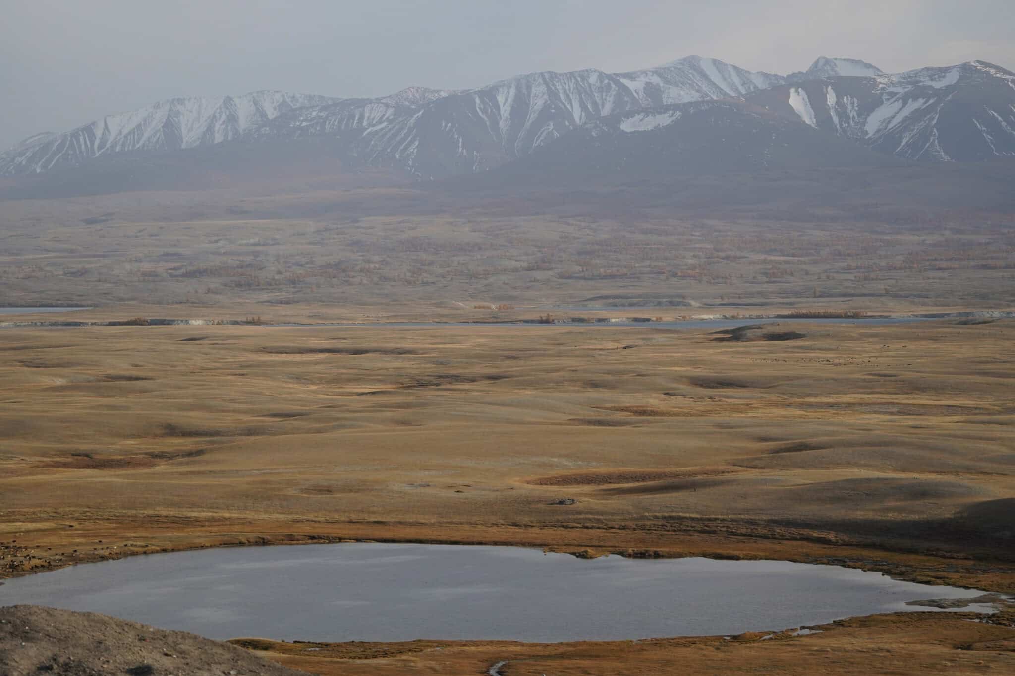 Montañas Altai: Actividades destacadas